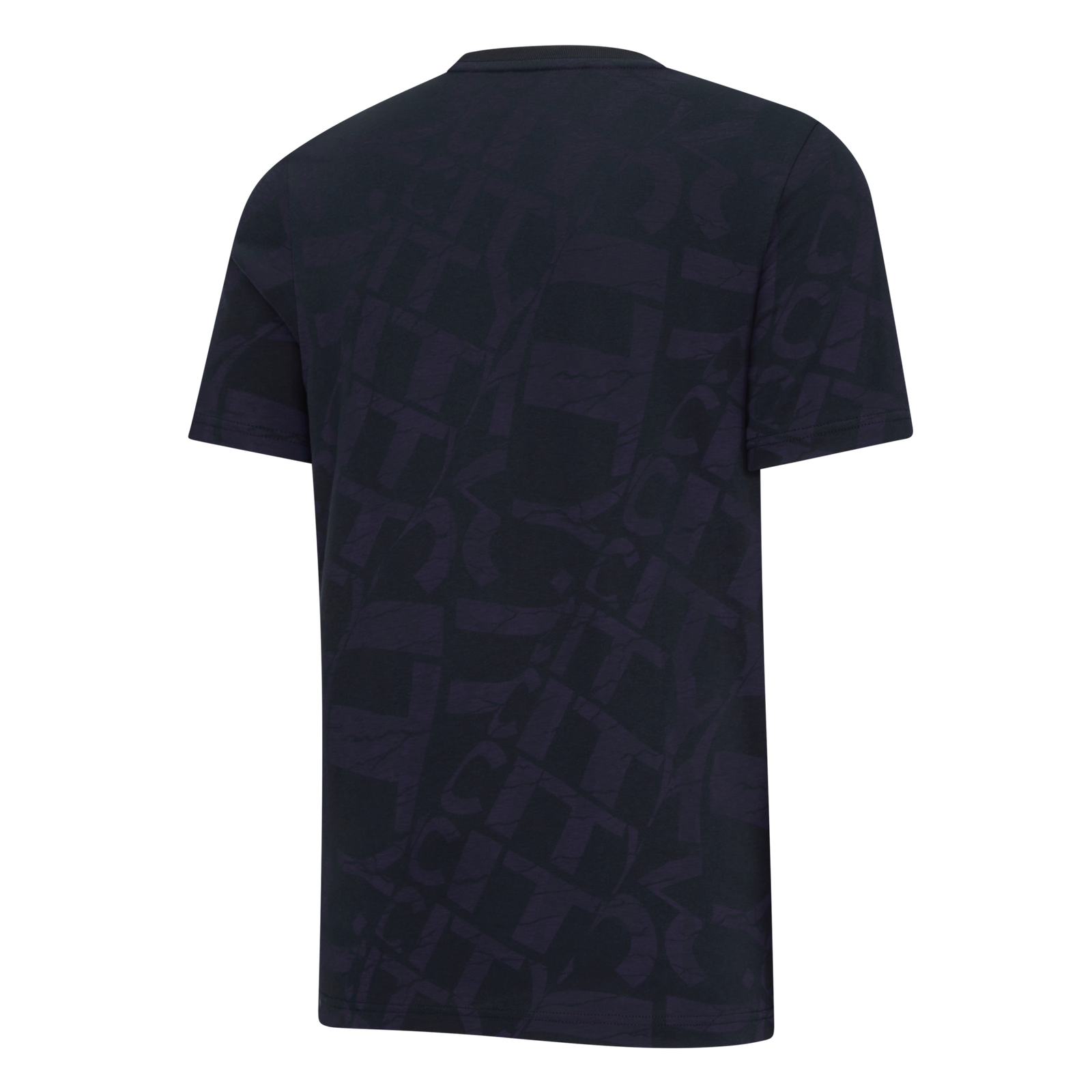 Manchester City Ftblcore Printed Tee Official Man City Store