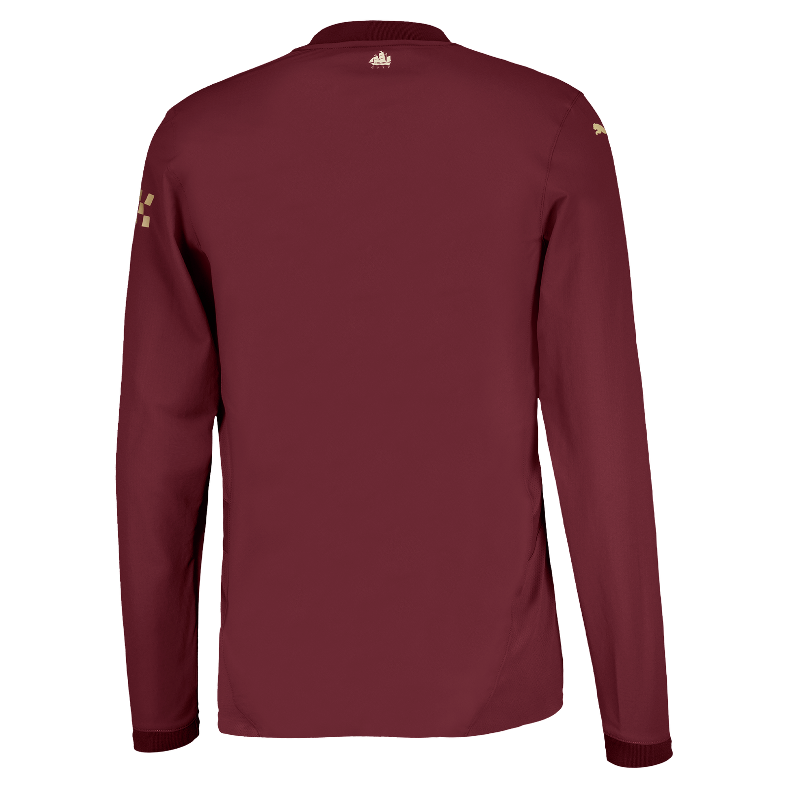 Manchester City Authentic Third Long Sleeve Jersey 202425 Official